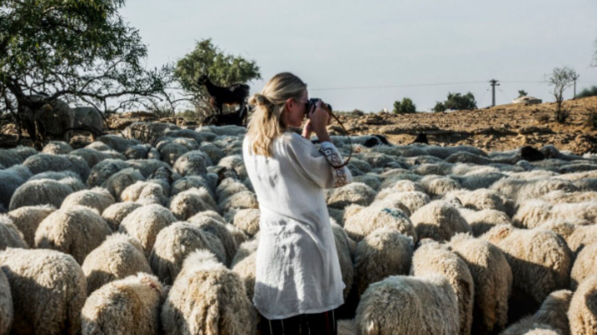 From Sheep to Shop: The Journey of Woolrec and Its Impact on Fashion
