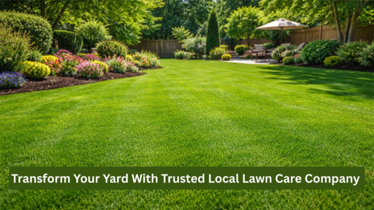 Transform Your Yard With A Trusted Local Lawn Care Company